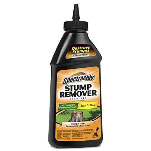 Best Stump Killer for Fast Stump Removal in 2024 (Pricing + Reviews!)
