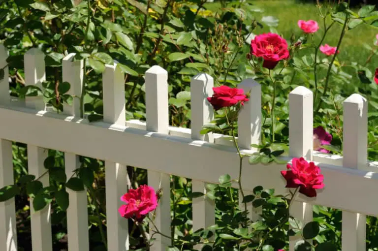 Best White Picket Fence Ideas, Designs, Pictures in 2026 | Own The Yard
