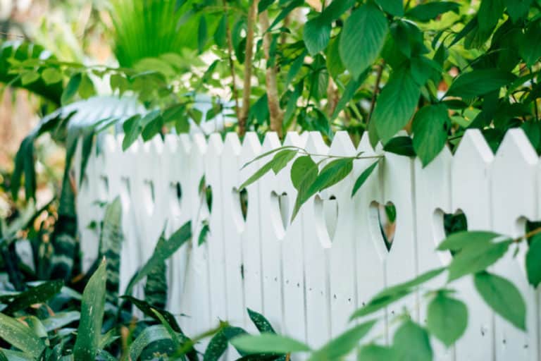 Best White Picket Fence Ideas, Designs, Pictures in 2026 | Own The Yard