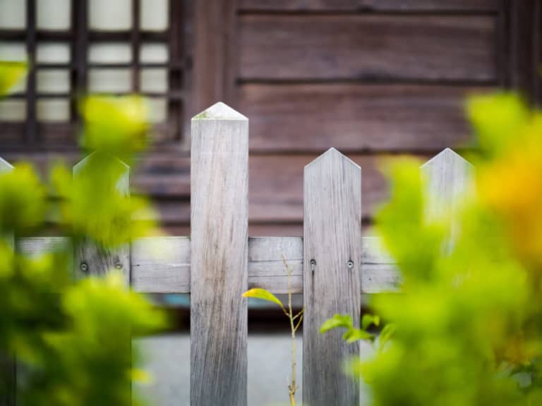 Best White Picket Fence Ideas, Designs, Pictures in 2026 | Own The Yard