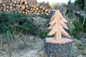 25 Tree Stump Ideas for a Quirky Yard (With Pictures!) 2021:Own The Yard