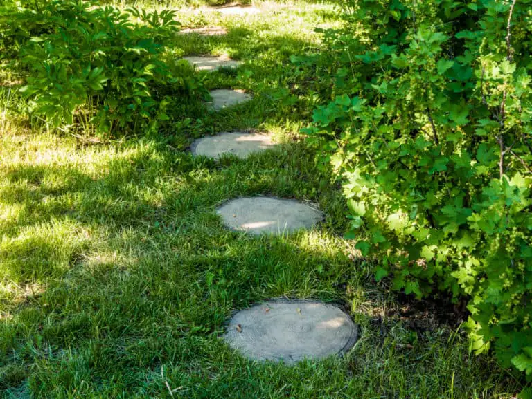 25 Tree Stump Ideas for a Quirky Yard (With Pictures!) 2021:Own The Yard