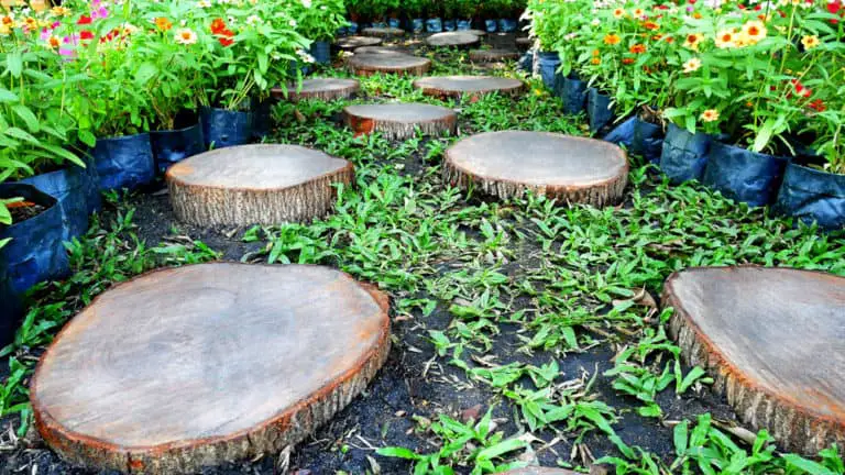25 Tree Stump Ideas for a Quirky Yard (With Pictures!) 2021:Own The Yard
