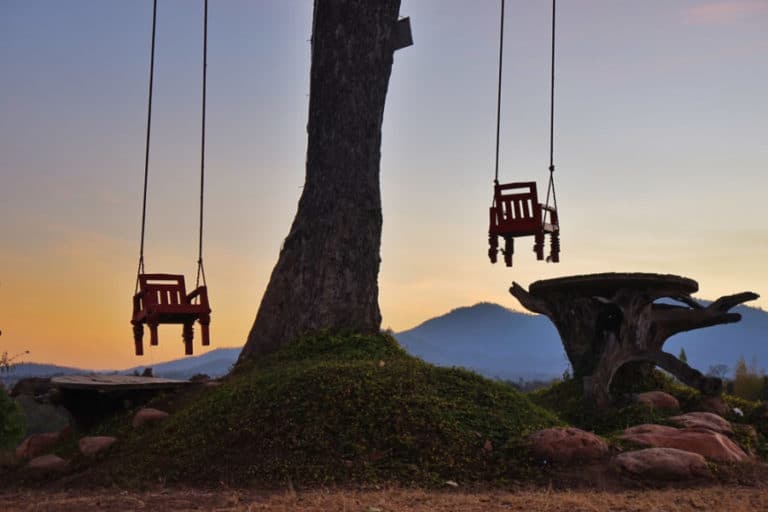 21 Best Tree Swing Ideas: Images and Inspiration 2021: Own The Yard