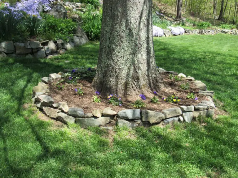 How to Landscape Around Trees for a Beautiful Yard 2025: Own The Yard