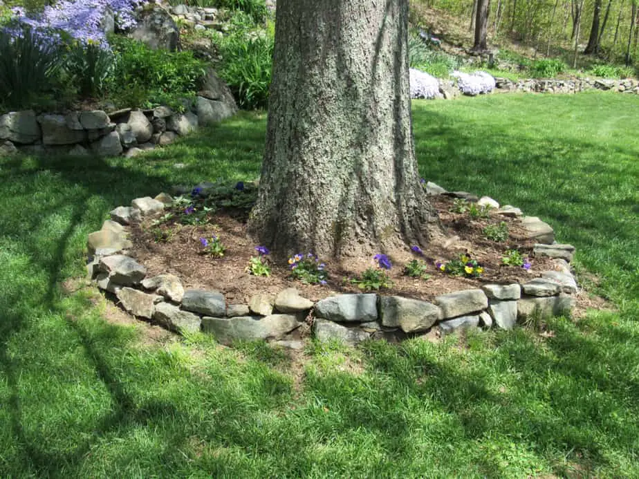How to Landscape Around Trees for a Beautiful Yard 2025: Own The Yard How to Landscape Around Trees for a Beautiful Yard 2025: Own The Yard