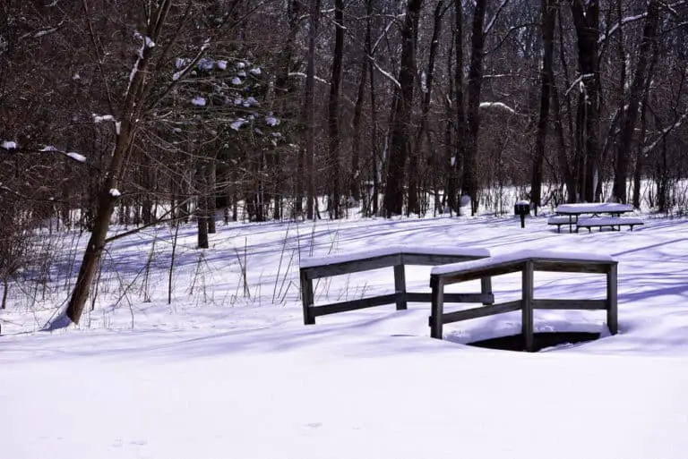 Winter Landscaping Ideas: Pics, Tips, Tricks + More! 2020: Own The Yard