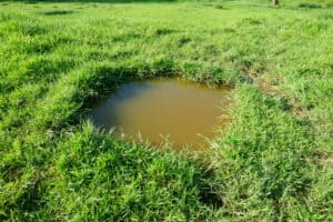 How to Improve Drainage in Your Backyard: Step-By-Step Guide 2024