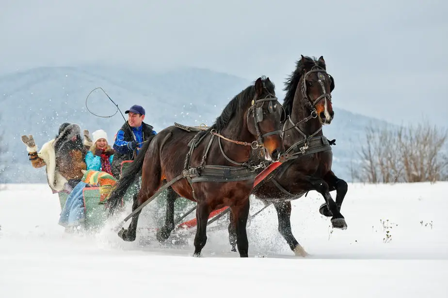 Winter Bucket List 29 Wonderful Ideas You Have To Try 2022