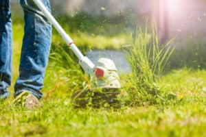 Edger Vs Trimmer: Finding Out Which is Best for the Job 2024