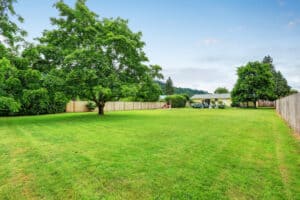 Backyard Size: How Big is the Average Backyard in 2026?